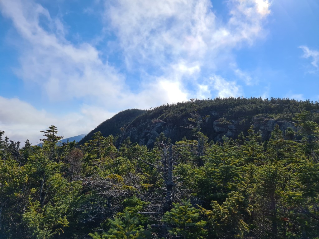 The Grid: Carter Dome, South & Middle Carter – Transcending Mountains